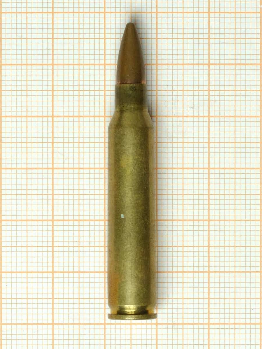 The .223 Remington Cartridge: A Detailed Exploration - Powder & Lead
